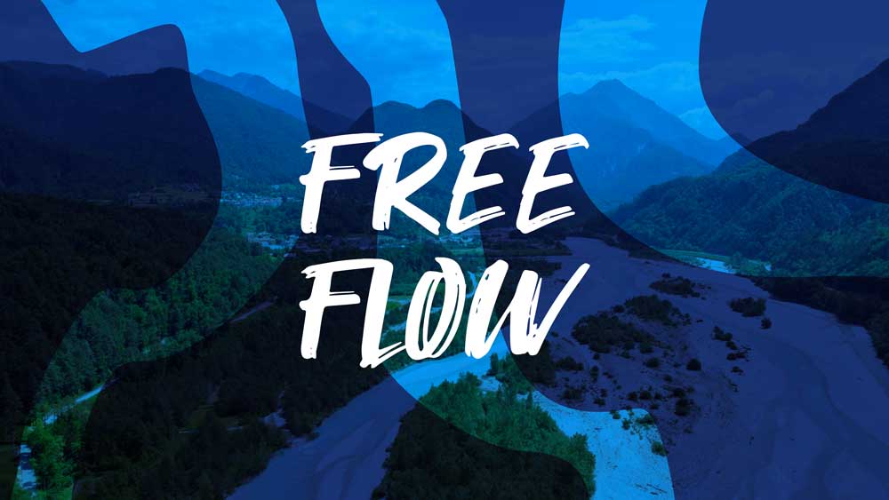 Poster presentation guidelines - Free Flow Conference 2024